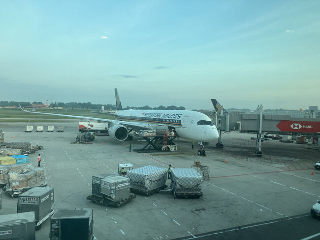 『2025GW メルボルン01：二度目のオーストラリアは初メルボルン、羽田からシンガポール経由で』メルボルン(オーストラリア)の旅行記・ブログ by はんけんさん【フォートラベル】